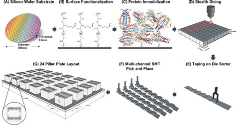 Microarray Platform Architecture A The Silicon Wafer Substrate Is