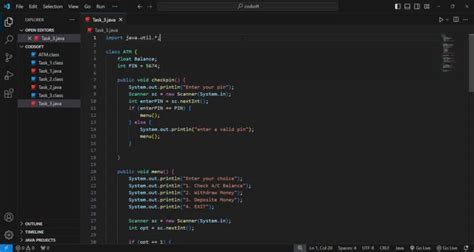 [video] ananya chaurasiya on linkedin codsoft javaprogramming