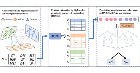 Hopexgb A Consensual Model For Predicting Mirnalncrna Disease Associations Using A