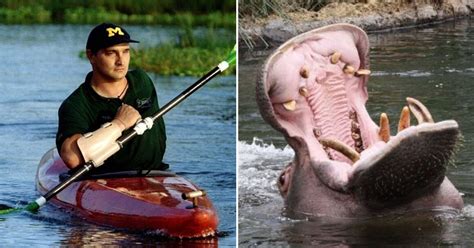 Man Miraculously Survived After Being Swallowed By A Hippo Three Times
