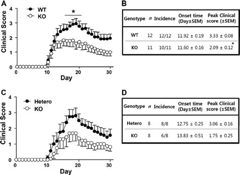 Eae Susceptibility Of Ninjurin1 Hetero And Ko Mice Is Ameliorated In A