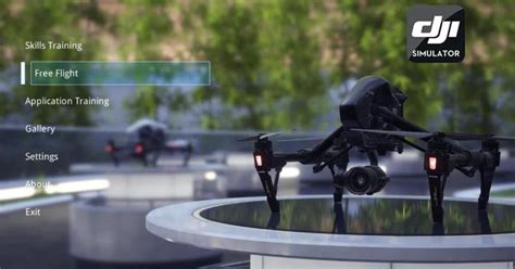 Dji Flight Simulator Compatible Controllers At Jamie Crow Blog