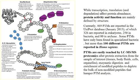Clinically Relevant Post Translational Modifications Lc Ms Ms