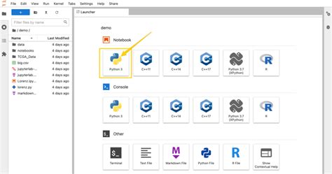Python Tools 2025 Tutorial Examples BrainStation