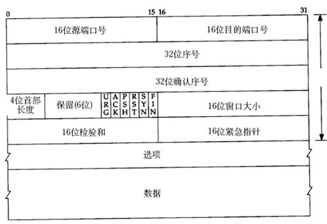 网络协议格式 以太网帧、arp数据报、ip数据报、udp数据报、tcp数据报 Csdn博客 网络协议格式 以太网帧、arp数据报、ip数据报、udp数据报、tcp数据报 Csdn博客