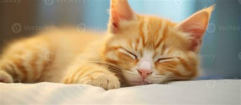 Photo Of A Drowsy And Playful Orange Fluffy Kitten That Just Woke Up