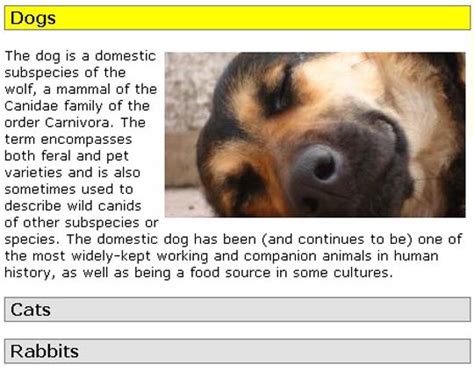 30 Best Jquery Accordion Plugins And Tutorials Pixelbell