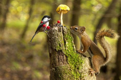 why proxy pattern r coding