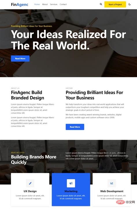 Internet Marketing Development And Design Service Agency Website