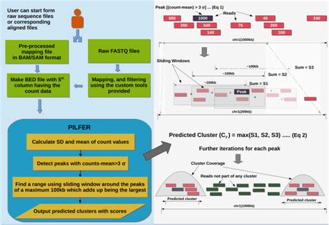 Pirna Analysis From Small Rna Seq Data Rna Seq Blog