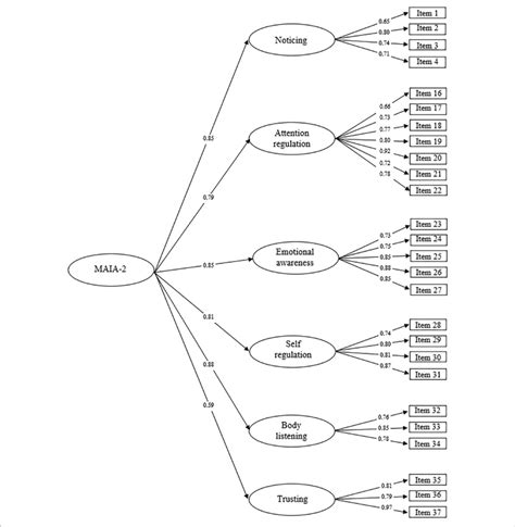 Simplified Illustration Of The Maia 2 Factor Model Showing The Best