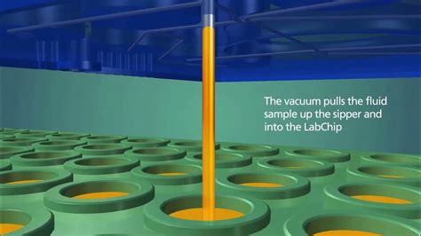 Improving The Efficiency Of Dna And Rna Analysis With The Labchip Gx Touch System Youtube