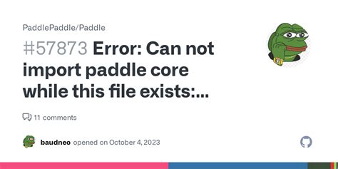 Error Can Not Import Paddle Core While This File Exists Optthingydatavenvlibpython310