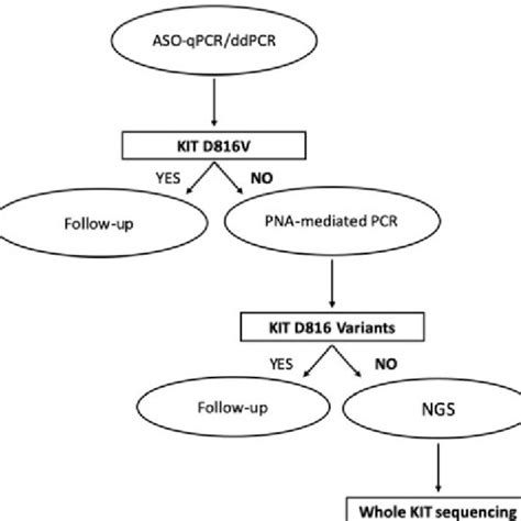 Proposed Flowchart For Kit Mutation Analysis In Sm Taking Advantage Of