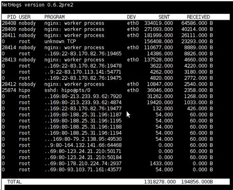 Rpnethogsscreenshotonserverwithnginxpng ☩ Walking In Light