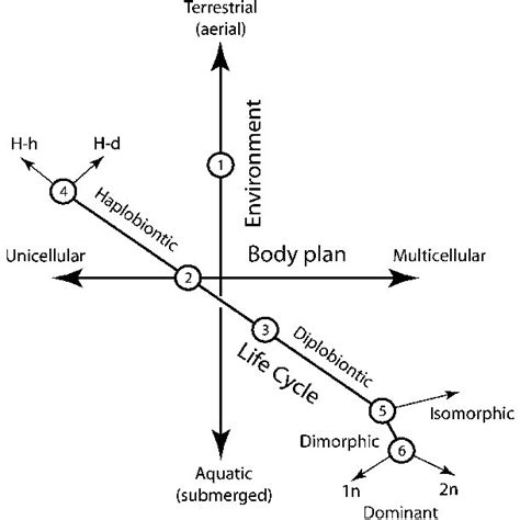 Concept Map With Three Major Themes Axes Underlying A Sequential