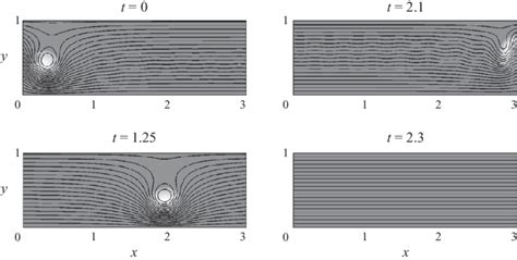 Developing Cwop For A Vortex Patch The Time Evolution Of Streamlines