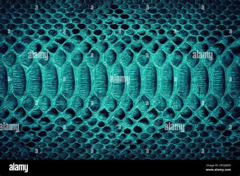 Blue Snake Skin Texture Colored Python Leather As Background Stock