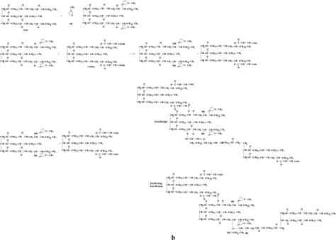 Scheme 2 A B The Probable General Structure Of The Crosslinked