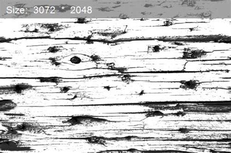 چوب تنه درخت Tik 3d