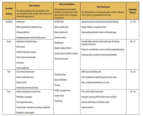 Tree Value Calculator Estimate The Value Of Your Trees