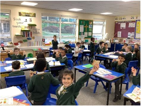 Carbohydrates And Fibres In Year 3