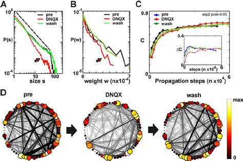 Functional Small World Topology Derived From Neural Avalanches Is