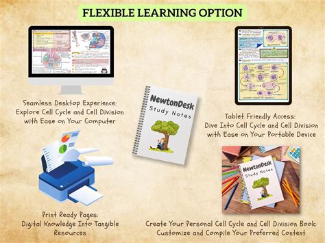 Cell Cycle And Cell Division Mitosis And Meiosis I And Ii Aesthetic