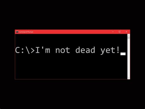 微软澄清：windows 终端不会取代命令提示符 Windows Cnbetacom