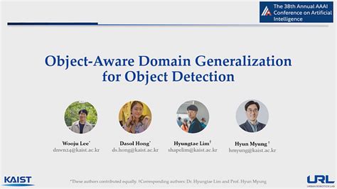 Underline Object Aware Domain Generalization For Object Detection Video
