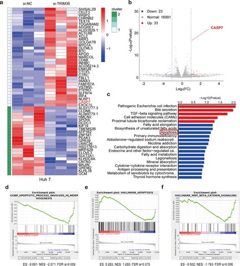 Bioinformation Analysis Of Rna Seq Assays A Heat Map Showing