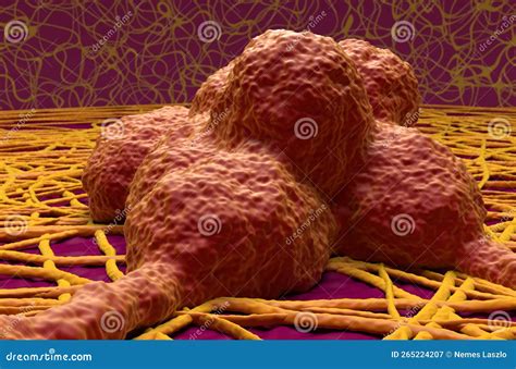 Neuron Cells In The Human Nervous System 3d Illustration Closeup View