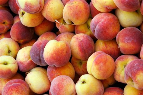 All About Peaches How To Pick Prepare Store Healthy Family Project