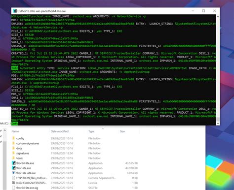 scanning for indications of moveit transfer exploitation with thor lite