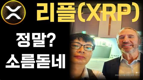 리플 드디어 만났습니다 갈링하우스와의 인터뷰 숨겨진 진실을 지금 바로 공개합니다 리플 신훈 갈링하우스 Youtube