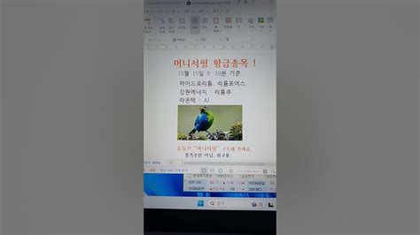머니서핑 황금종목 하이드로리튬 리튬포어스 강원에너지 라온텍 Youtube