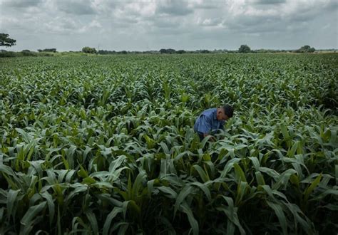 تغییر کاربری اراضی زمین روستایی کشاورزی