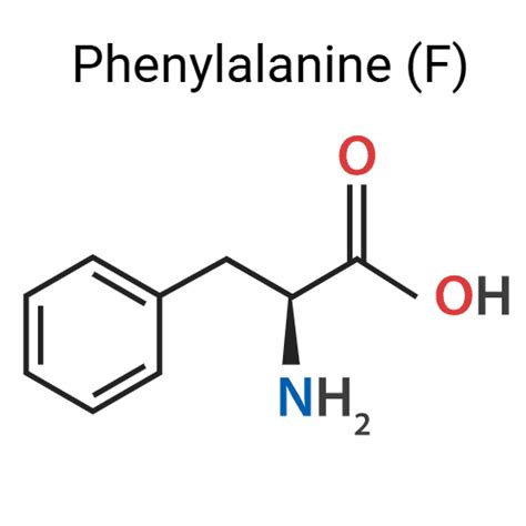Amino Acids Types Functions Structure And Essential Guide Assay Genie