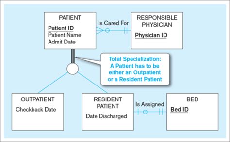 Chapter 3 The Enhanced Er Model Flashcards Quizlet