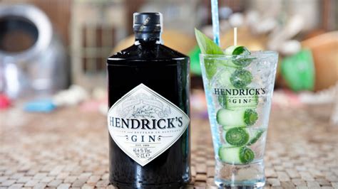 17 Best Hendricks Gin Cocktails To Drink