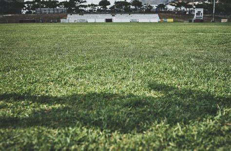 Field Sports And Recreation Facility With Shadow Grass And Landscape
