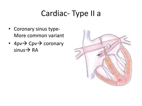 Classification And Pathophysiology Of Tapvc Pptx