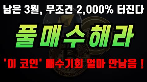 코인 추천 남은 3월 무조건 2000 이상 터지는 이 코인 Youtube