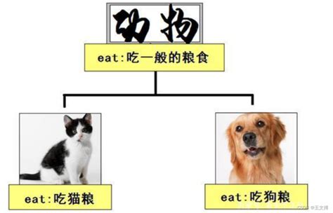 详解java多态 Csdn博客