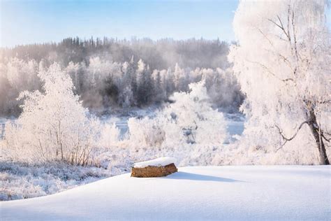 Far North Cabins Ak Added A New Photo Far North Cabins Ak