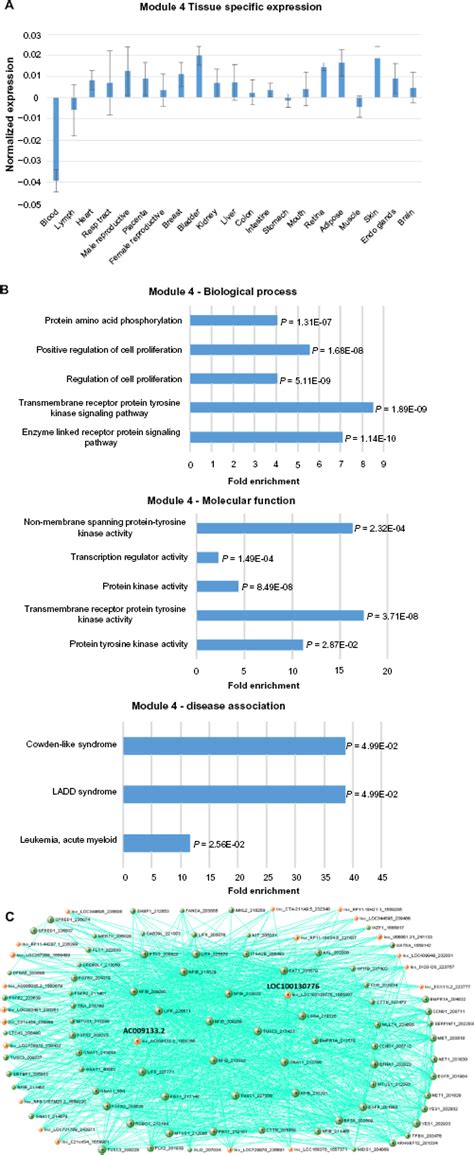 Expression Functional Term Enrichment And Network Visualization Of