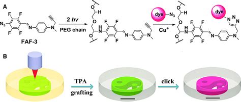3d Site Specific Functionalization Of Peg Matrices Via Photografting Download Scientific