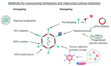 Overview Of Putative Adenoviral Detargeting And Retargeting Approaches