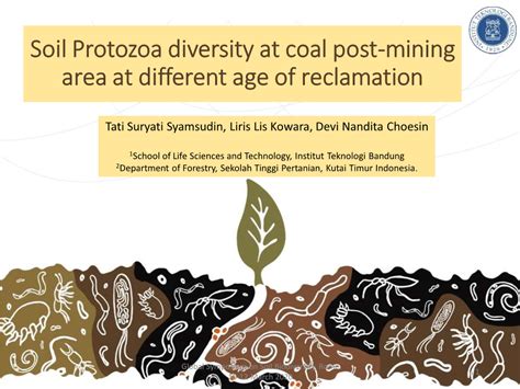Soil Protozoa Diversity At Coal Post Mining Area At Different Age Of