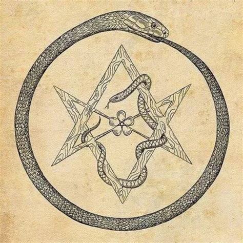 线稿蛇 高清图片，堆糖，美图壁纸兴趣社区